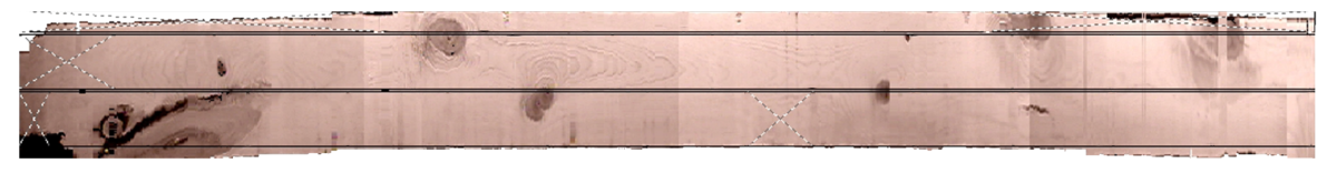 Ulti-Vision™ Lateral Scanners – Ultimizers Inc.